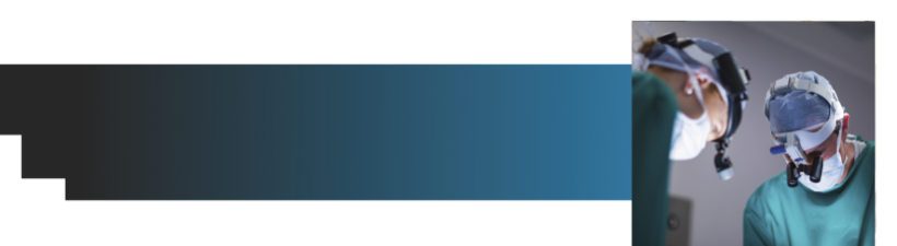 Homepage EBVS | EBVS